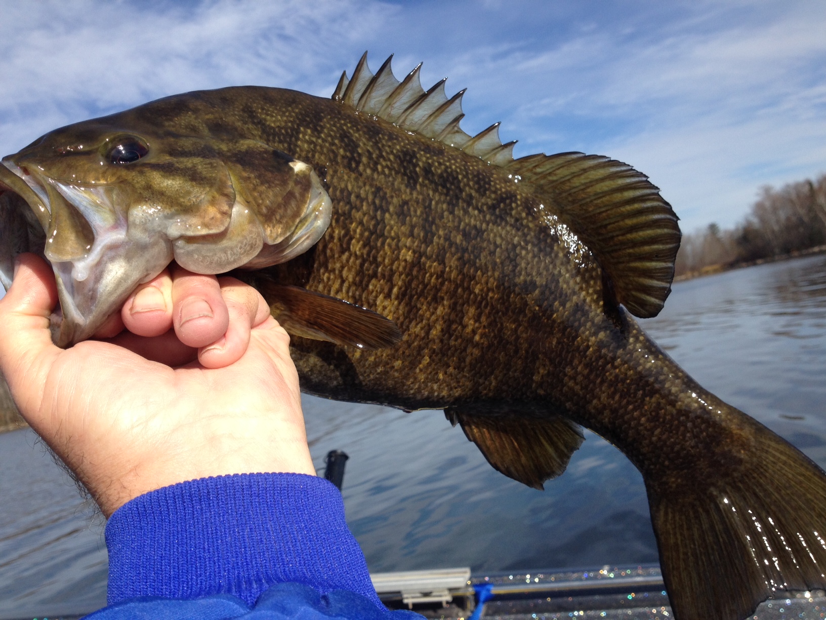 Photo Gallery – Butch Furtman